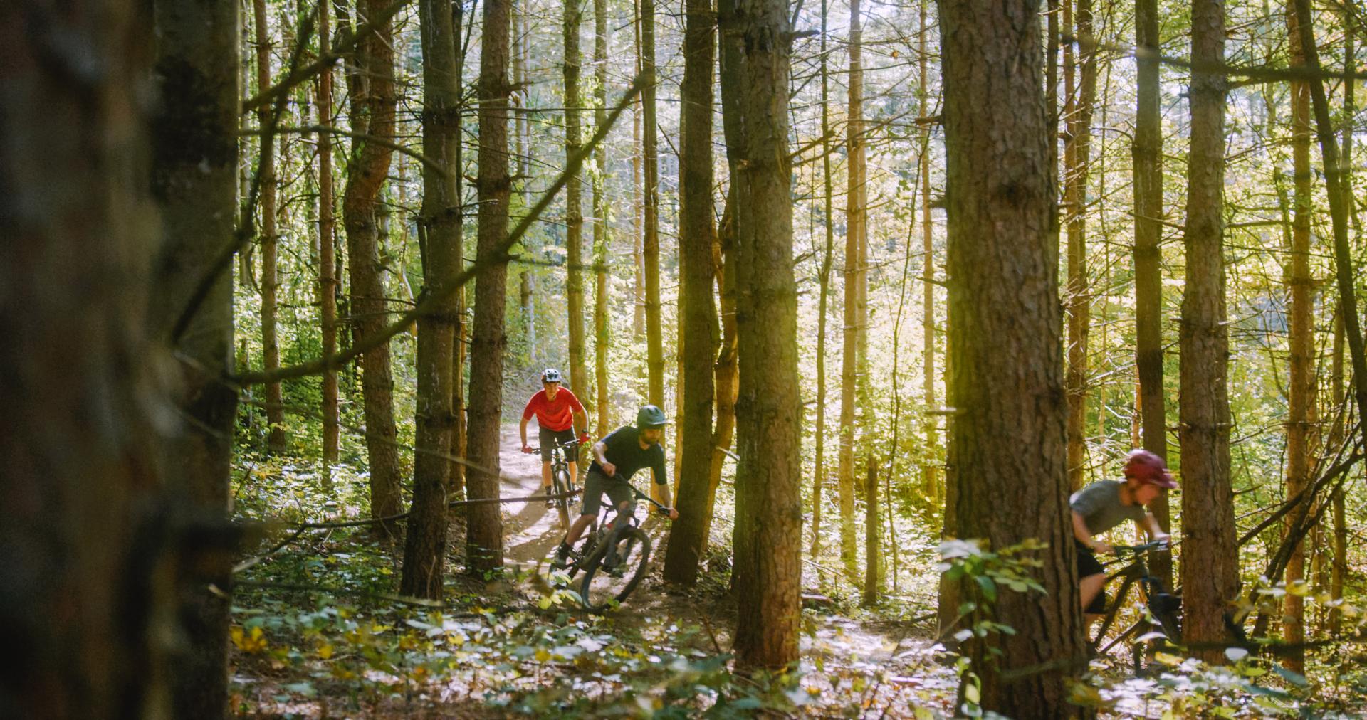 Mountain Biking | Saskadena Six Ski Area